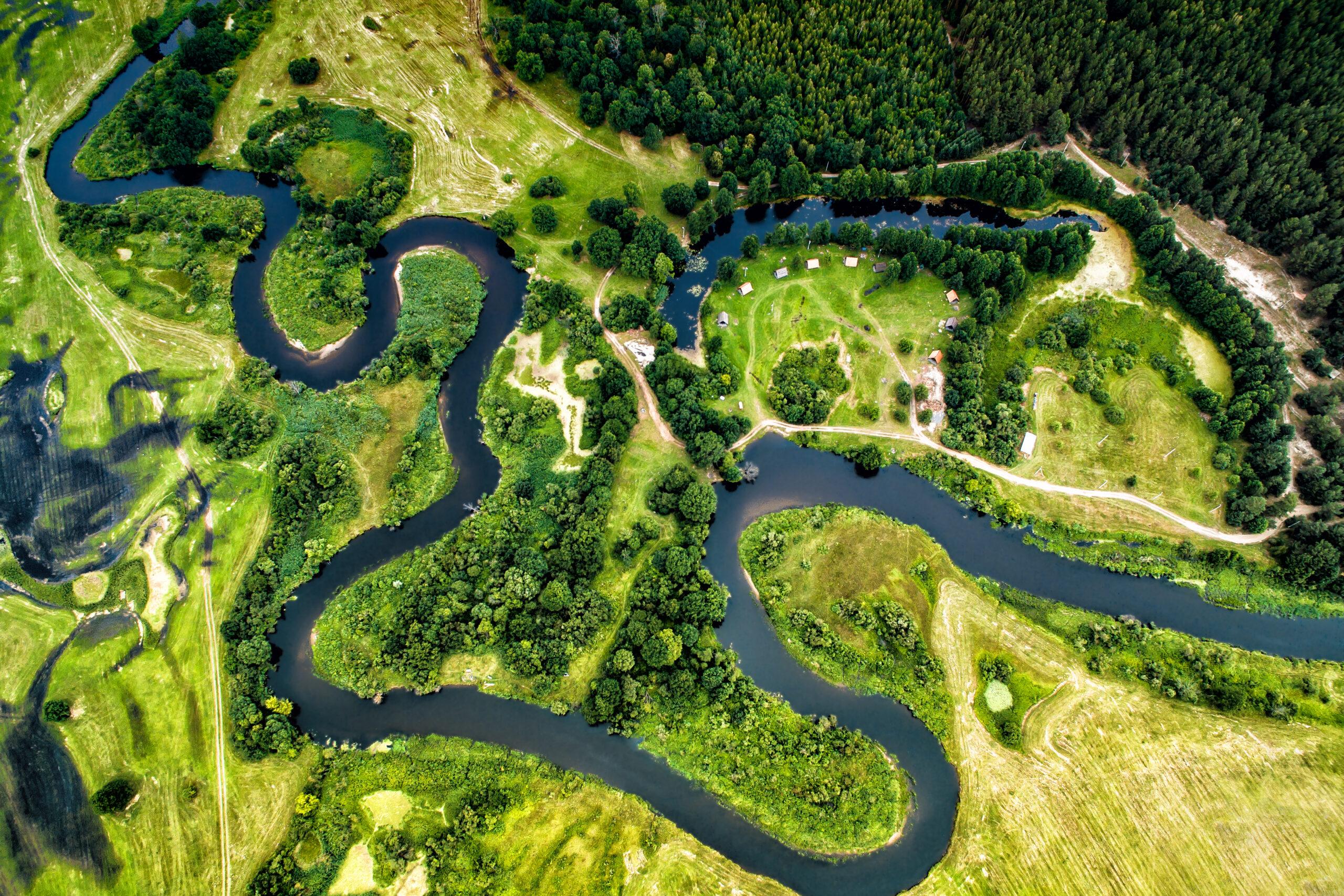 Geospatial Analytics Vs Drone Data In Forestry